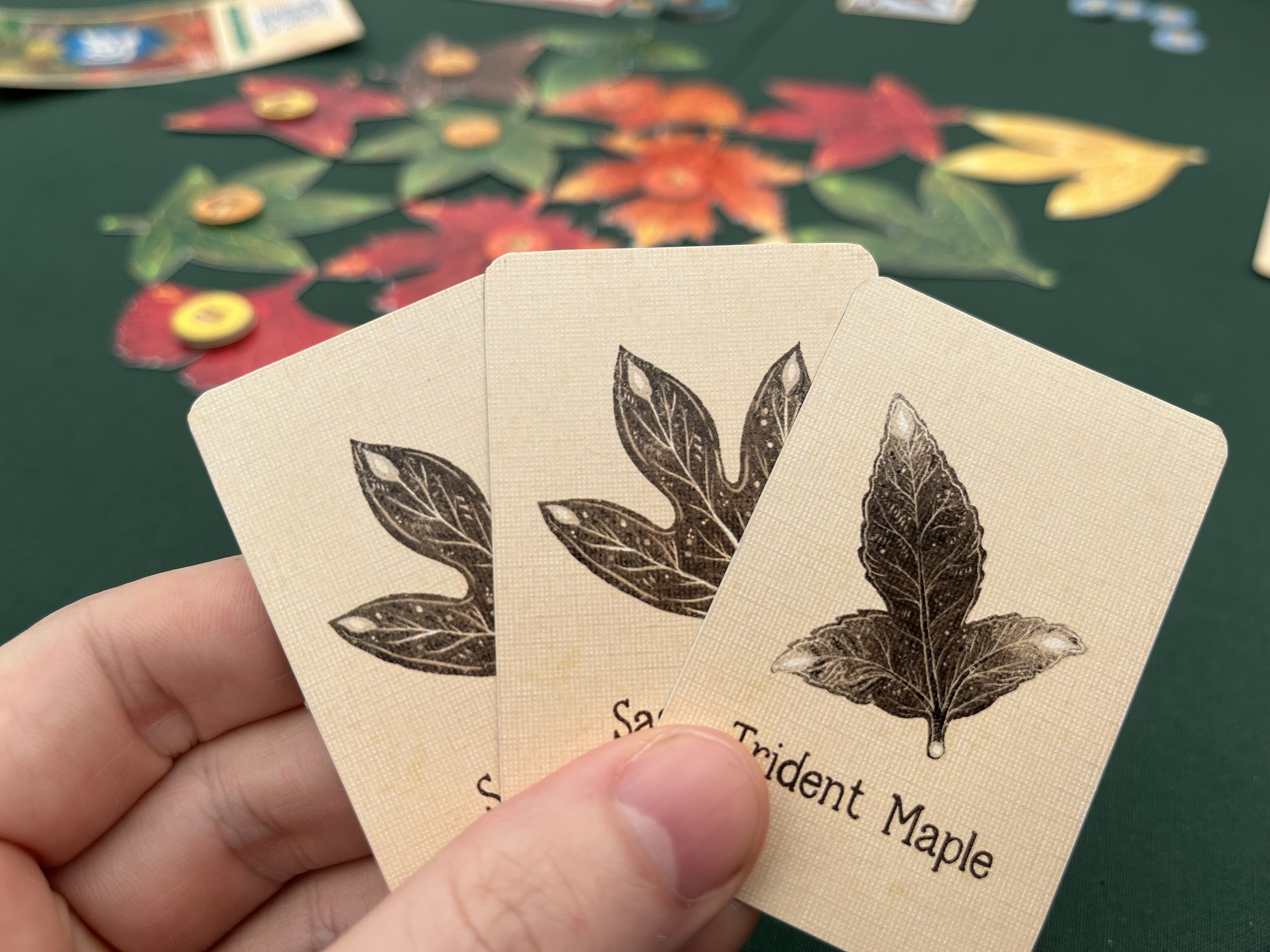 Leaf – Table Talk